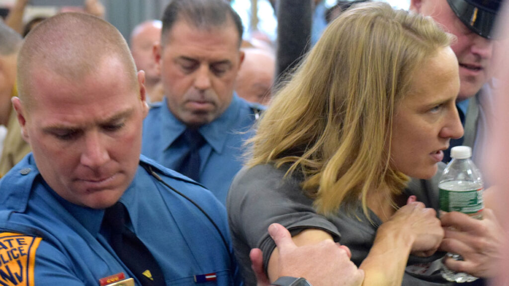 Searching for Progressivism: Do You Look for Sue Altman or Sarah ...