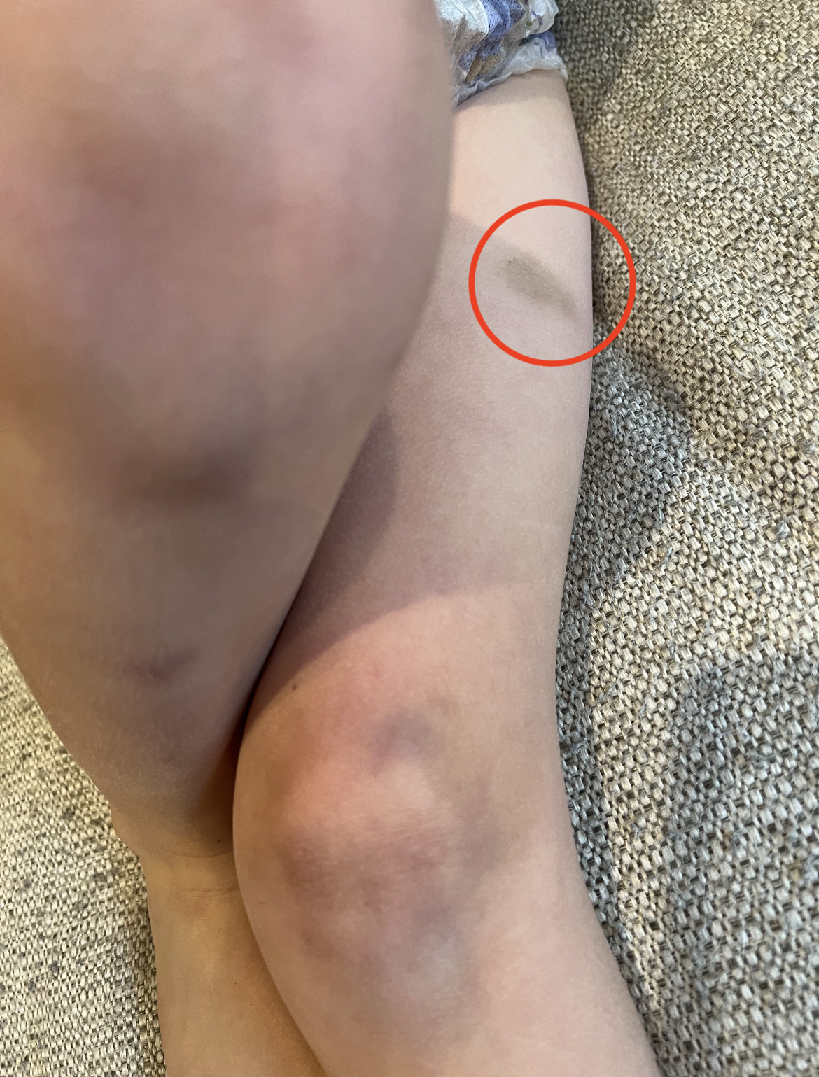 Cherry Hill, Autism, and a Place For Cole - NJ Education Report